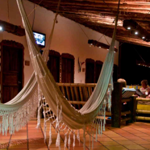 Coffee farm Colombia| staying in a coffee farm | hacienda Calarca