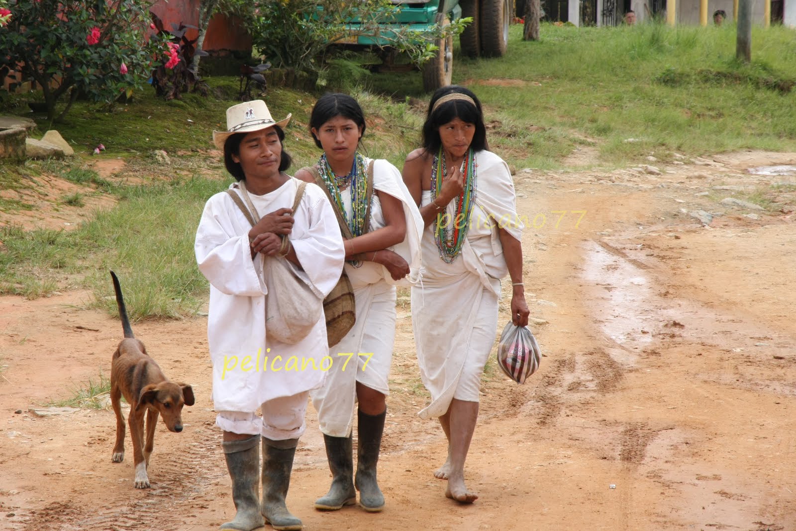 Tribus Indigenas De Colombia