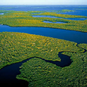 Amazonas Colombia Plan 4 noches | Paquete de viaje Amazonas Colombia