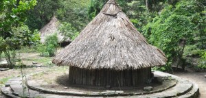 calabazo tayrona park